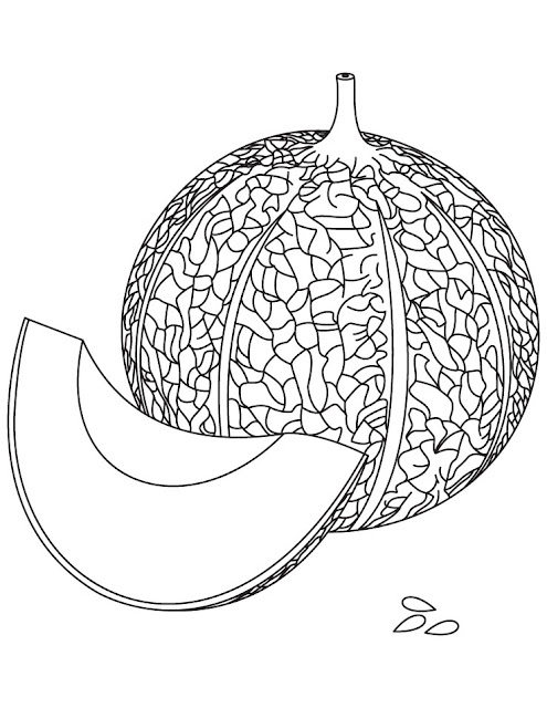 Honeydew Melon Coloring Pages Sketch Coloring Page
