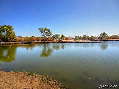 New 2012: Yuma and Fortuna Pond