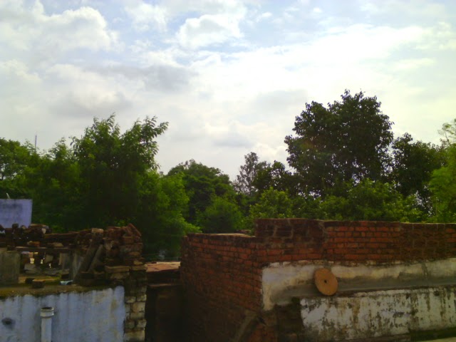 Nikhil's Photography: A photograph of a village in MP India