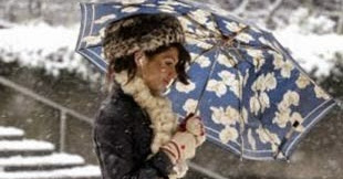 Femulate: Weather or Not