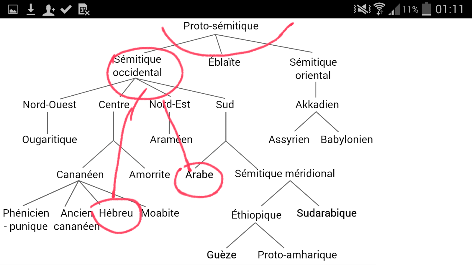 Qui sont les sémites
