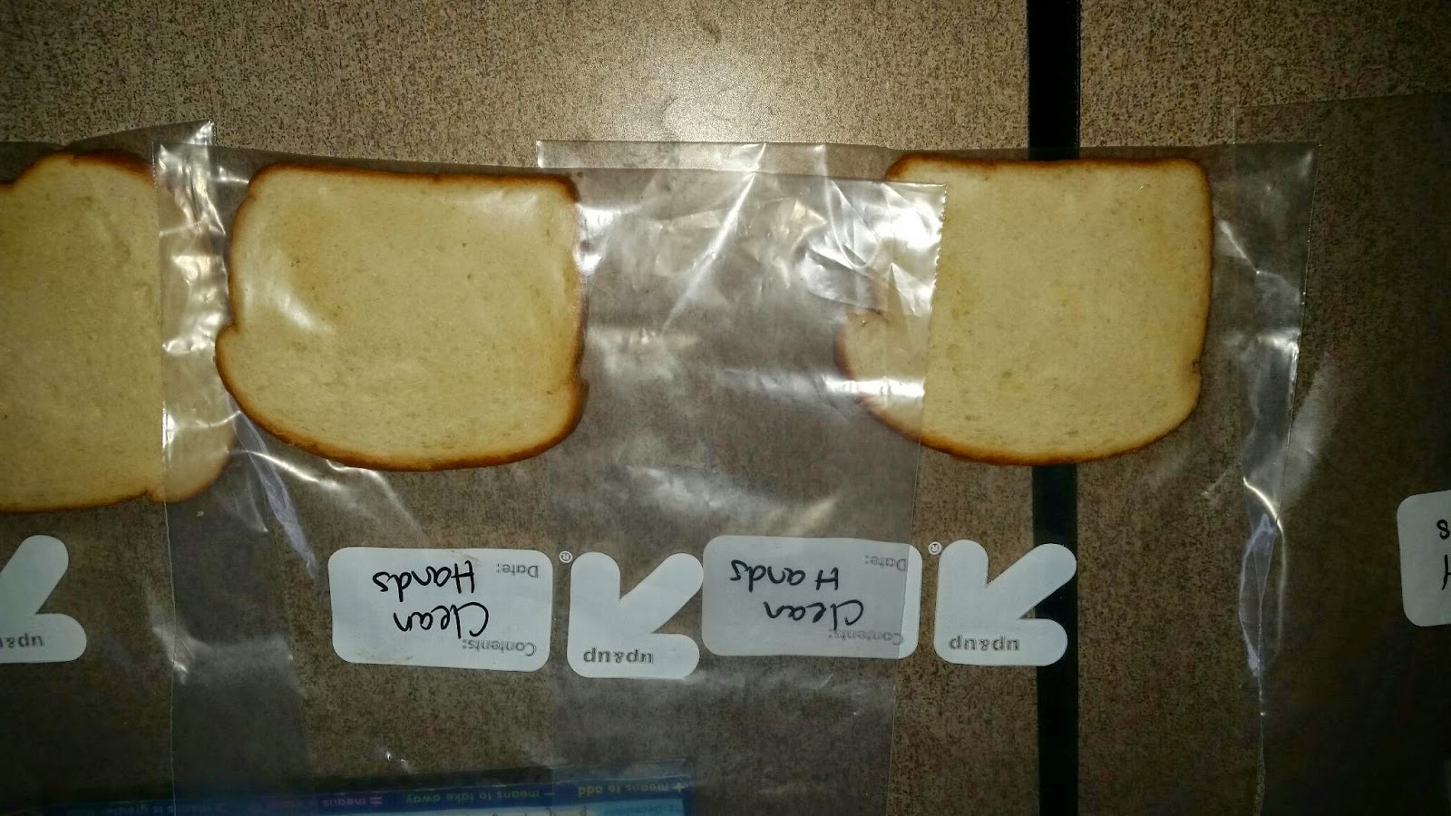 Mrs Gee Sclassblog Bread Experiment