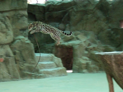 A is for... - Page 45