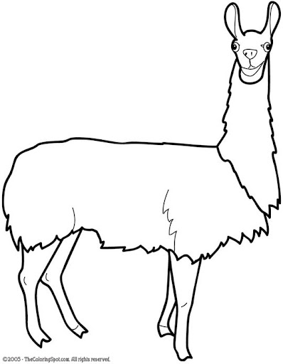 COLOREAR DIBUJOS DE LLAMAS