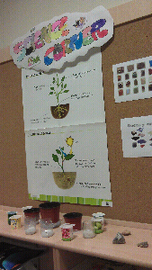 SCIENCE ENGLISH CORNER: SCIENCE CORNER in class