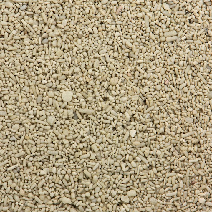 Oolite - Sedimentary Rocks