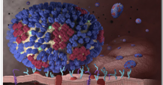 Avian Flu Diary: CDC Statement & Risk Assessment On The Texas H5N1 Case