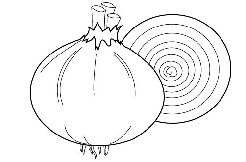 CEBOLLA para colorear e imprimir - Imagui