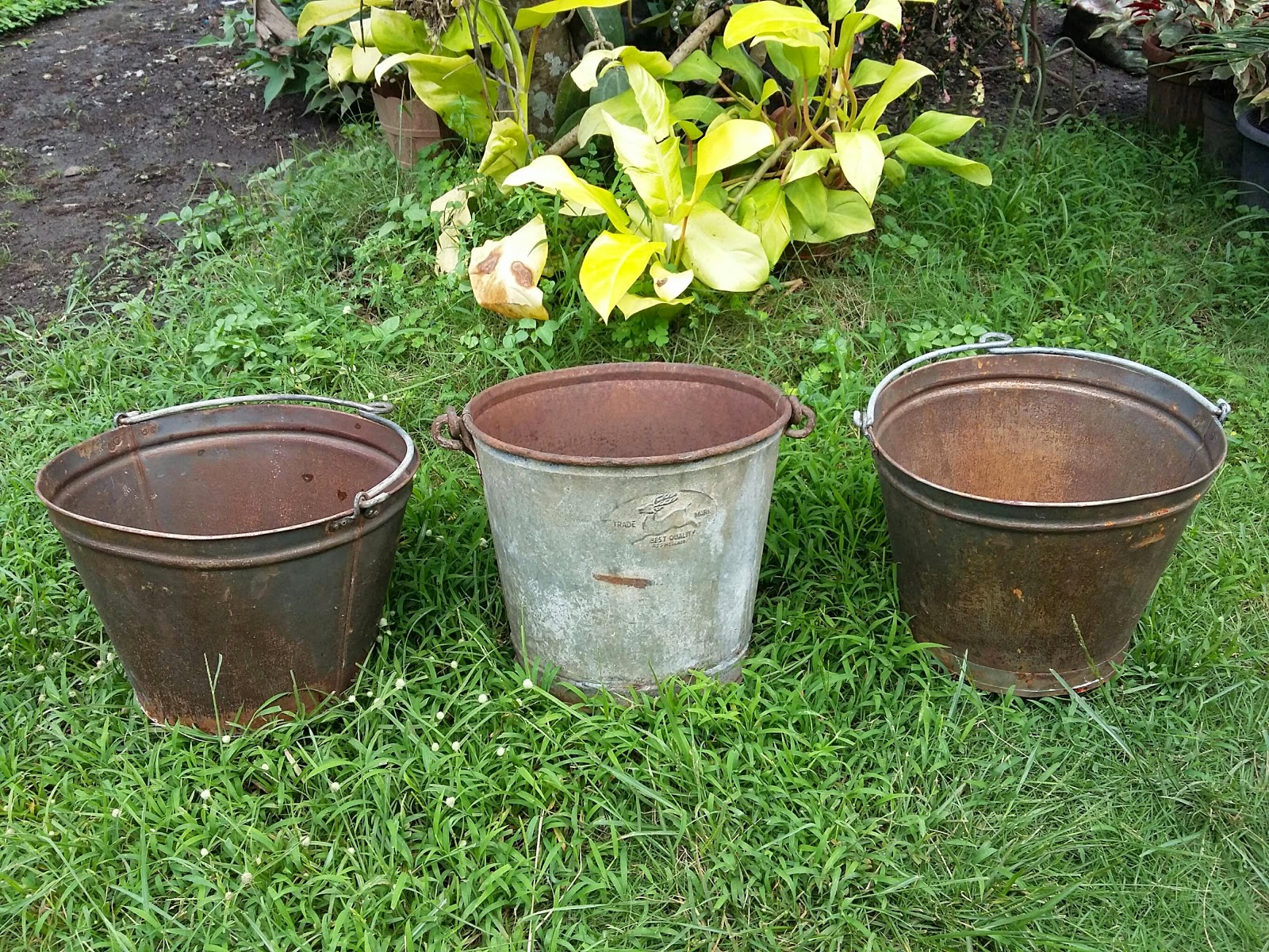 AntikAntikan: Ember besi