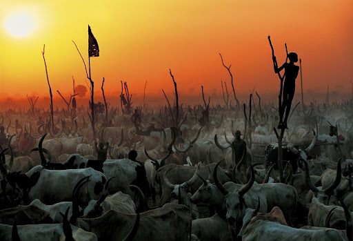 "Dinka: Legendary Cattle Keepers of Sudan" — Google Arts & Culture