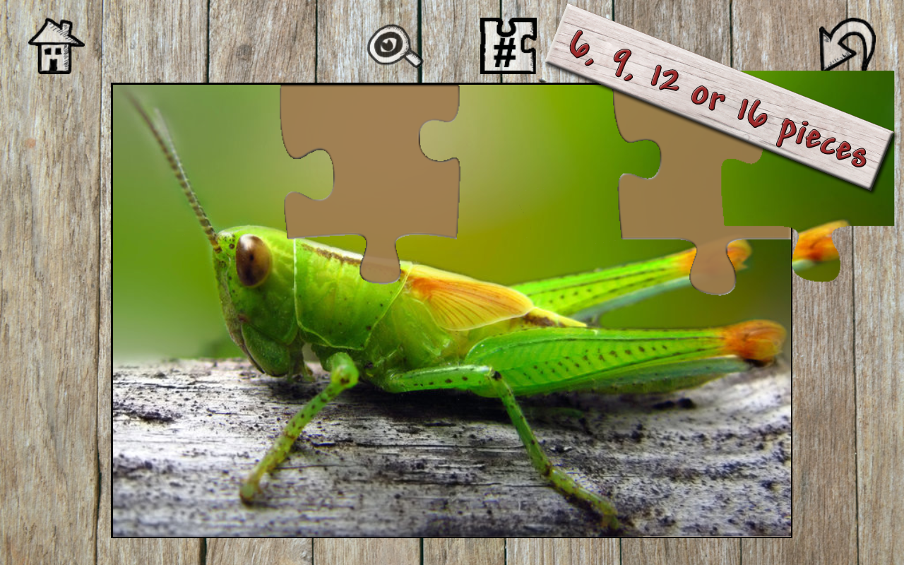 Kids Games Bugs Jigsaw Puzzles - Android Apps on Google Play