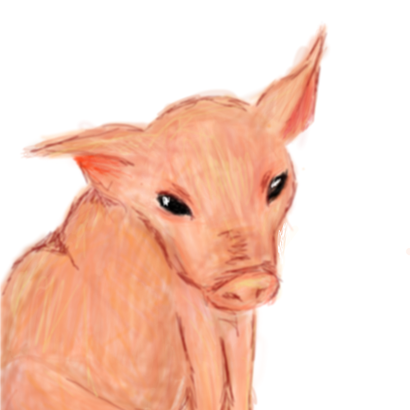 Oink » drawings » SketchPort