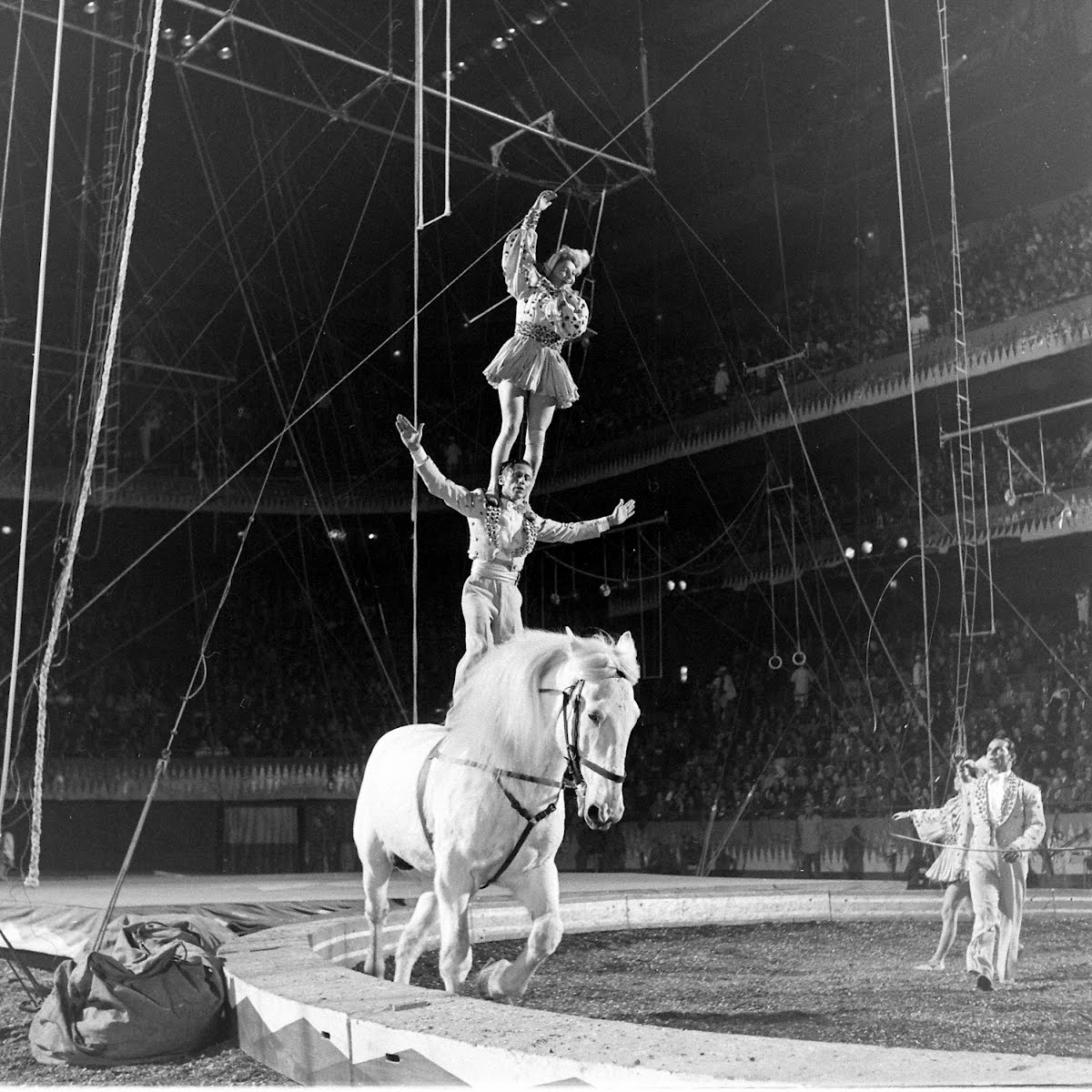 Circus- Madison Square Garden - Ralph Morse — Google Arts & Culture