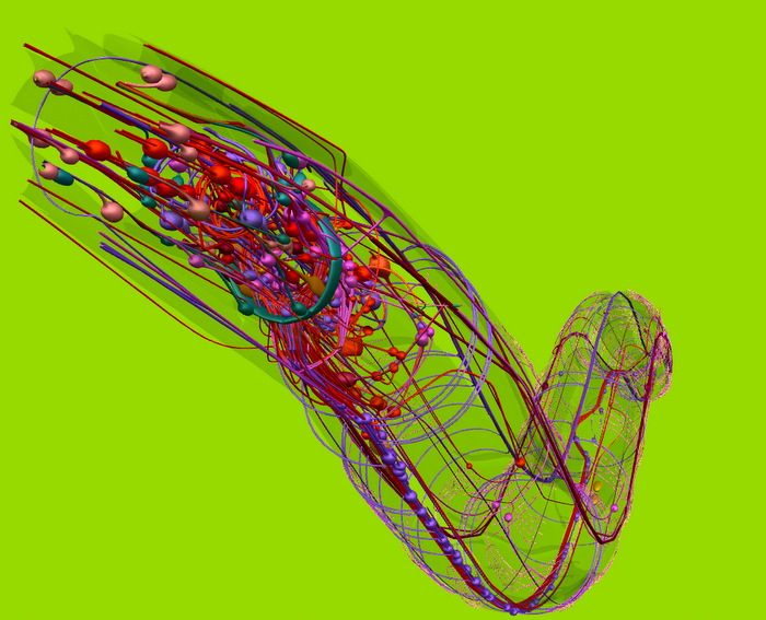 OpenWorm Browser by Openworm Team | Experiments with Google