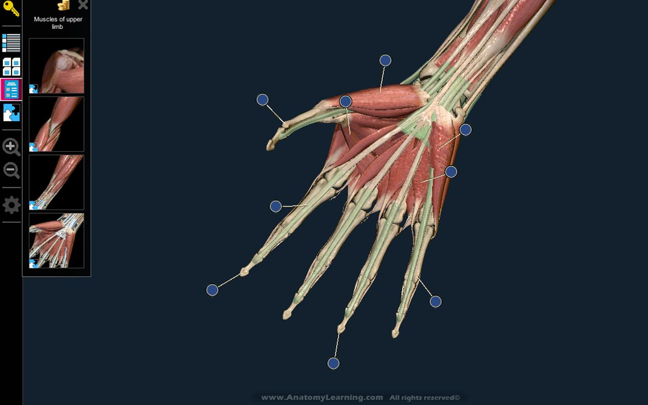 Anatomy Learning - 3D Atlas - Aplicaciones de Android en Google Play