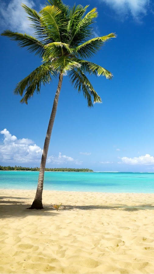 Playas paradisiacas atardecer HD - Imagui