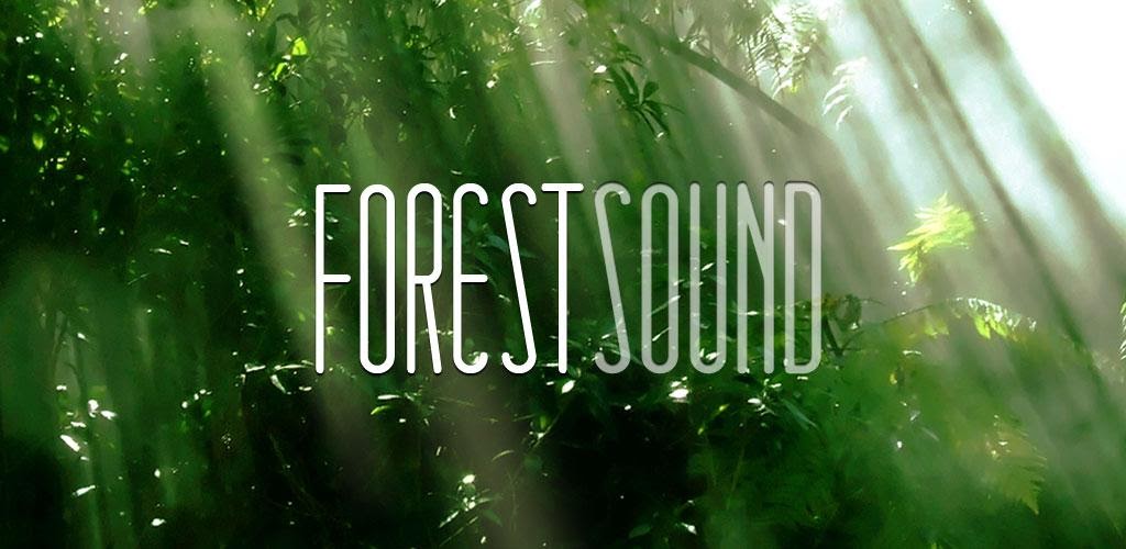 PLAYBOOK BAR FILES FREE: FOREST SOUND - Sound Therapy