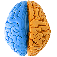 「The Cranial Cash Clash」 - Androidアプリ | APPLION