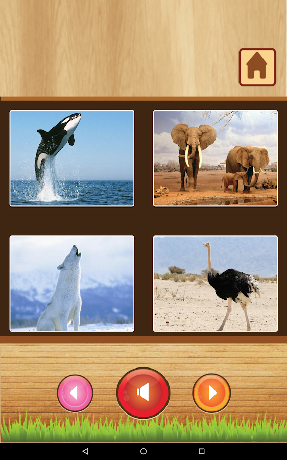 Sonidos de Animales - Aplicaciones de Android en Google Play