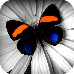 Color Splash Effects by Mudgalapps - Latest version 1.03 for Android ...