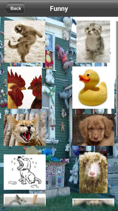 All Animal Sounds - Android Apps on Google Play