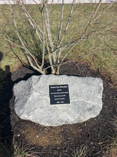 Portal – Ingress Intel