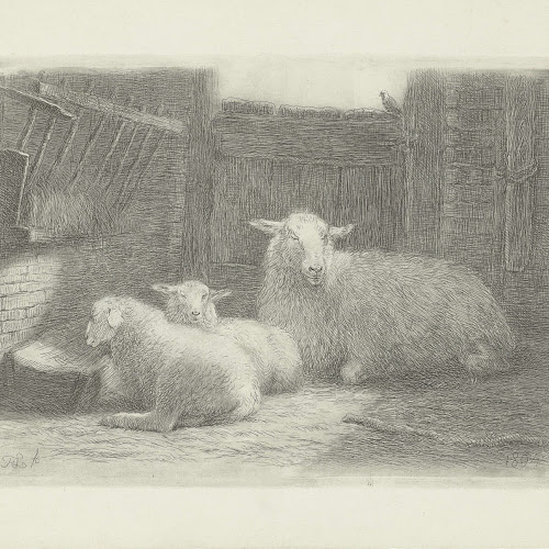 Schaap en twee lammeren in een stal, Frans Lebret, 1894 - Rijksmuseum