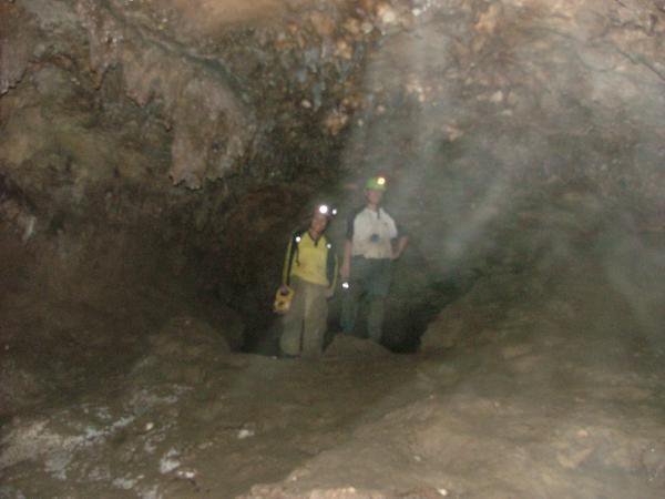 island snake (cave snake) | Project Noah