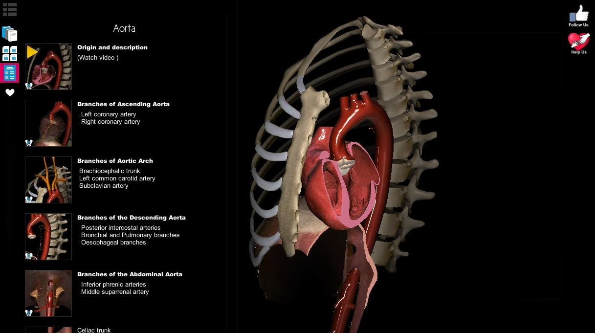 Anatomy Learning - 3D Atlas - Android Apps on Google Play