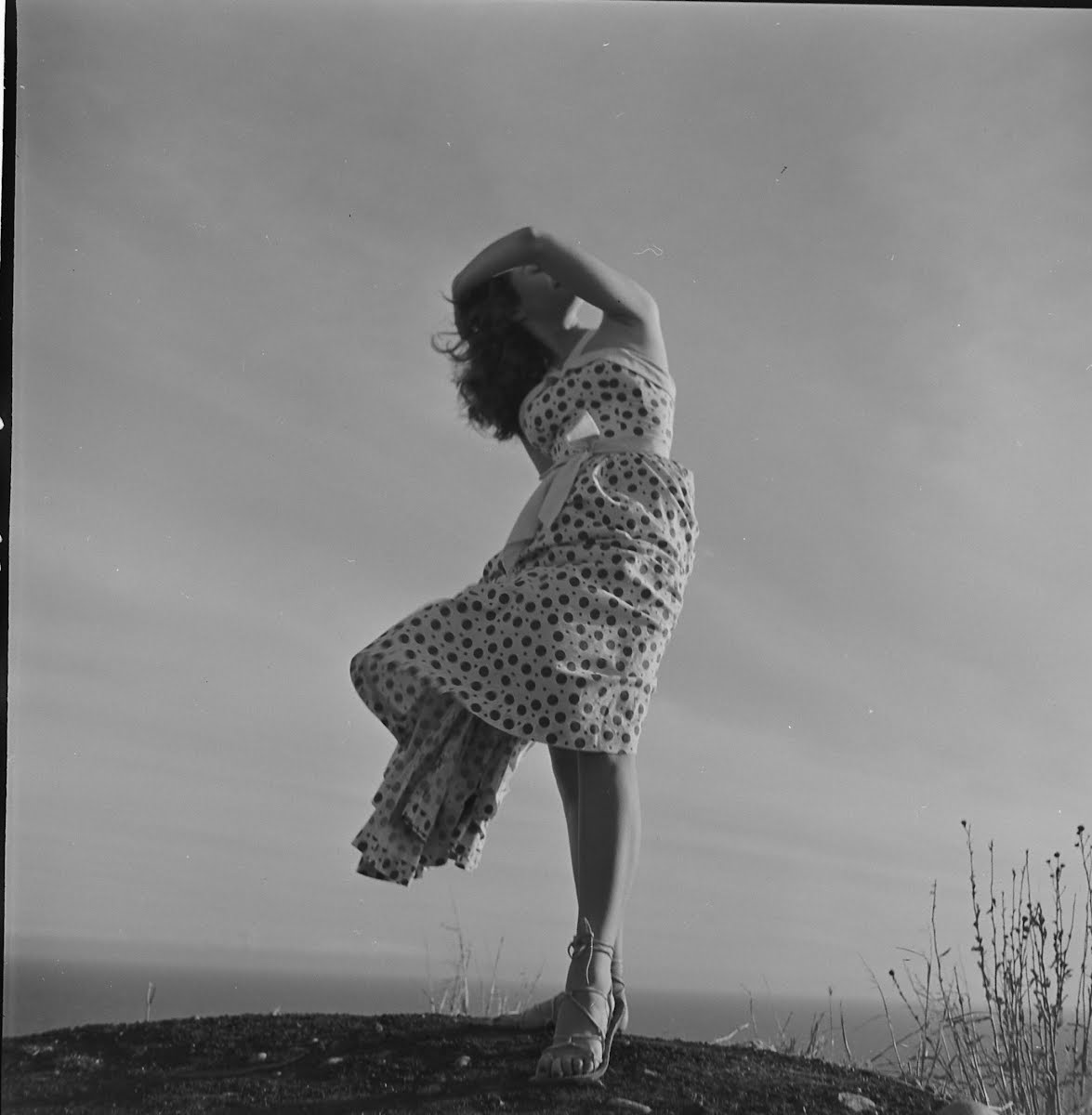 Mala Powers - Loomis Dean — Google Arts & Culture