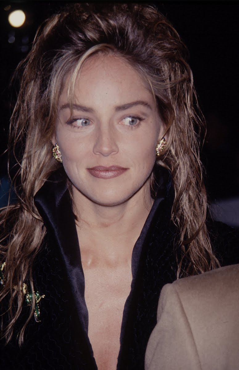 Sharon Stone 1990-1997 — Google Arts & Culture