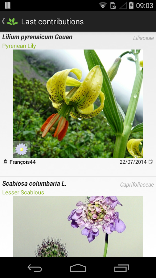 PlantNet Plant Identification Android Apps On Google Play