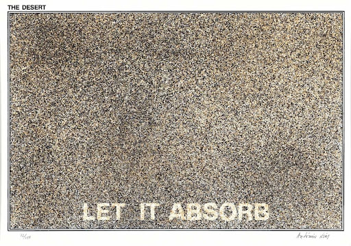 The desert - Let it absorb - Antonio Dias — Google Arts & Culture