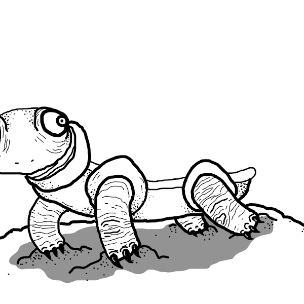 11. Give the Turtle a Shell » drawings » SketchPort