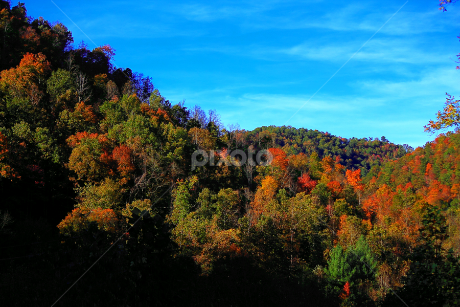 Kentucky Mountains Landscape