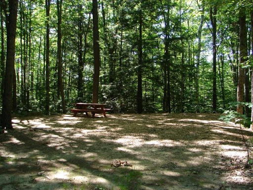 Wolfeboro Campground | BookYourSite