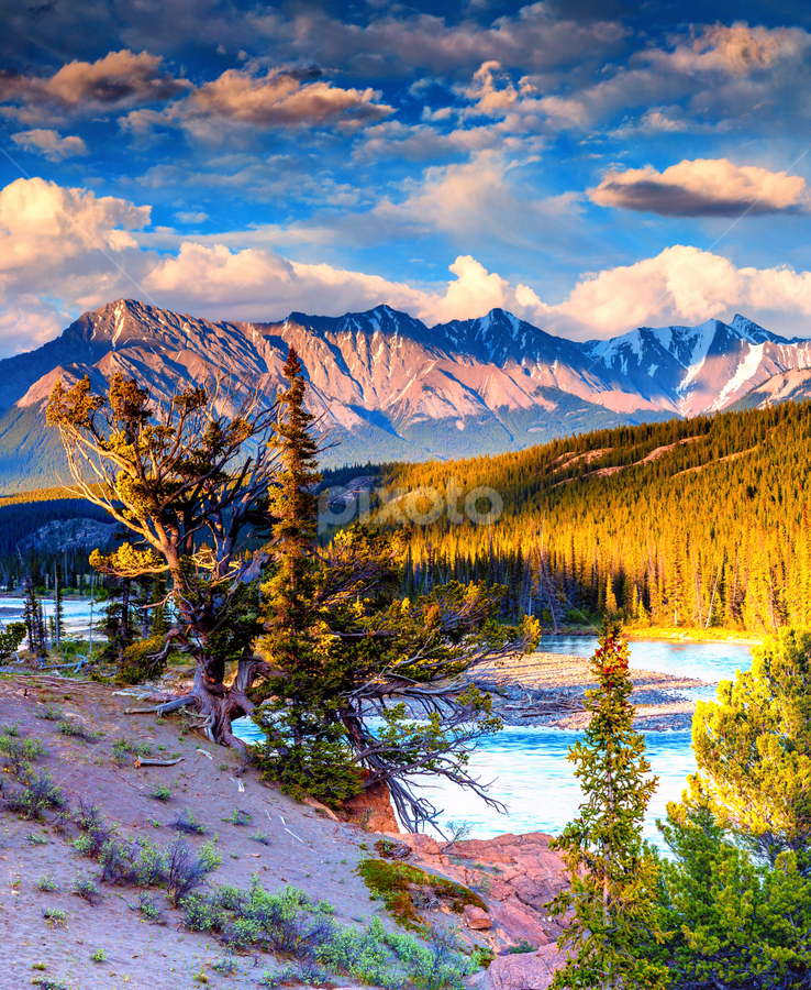 Saskatchewan Mountains