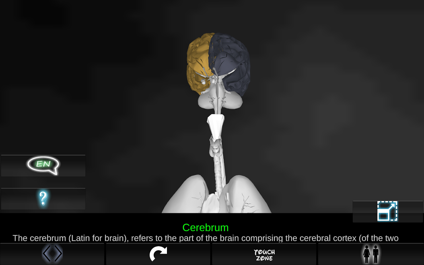 Organs 3D (Anatomy) - Android Apps on Google Play