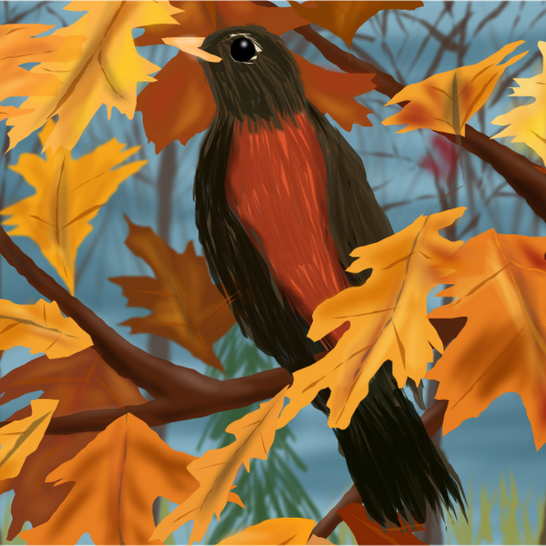 Robin in the Fall » drawings » SketchPort