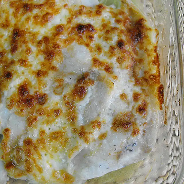 Baked Fish Fillet Recipes With Mayonnaise Sauce | Deporecipe.co