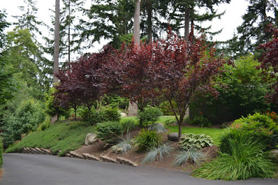 Puget Sound Landscape Design - Photo Gallery