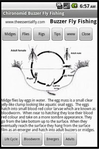 Buzzer Chironomid Fly Fishing – Fly Fishing with trout buzzers. Learn ...