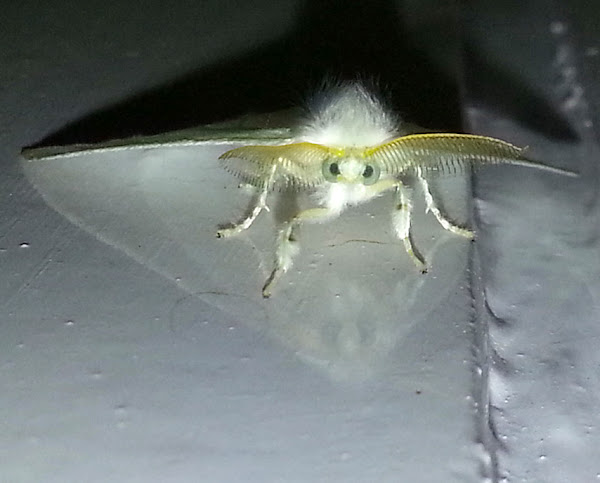 Spotting | Project Noah