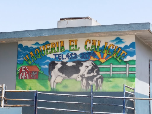 Vaqueria El Caliche Wall Art Portal in El Pajuil Hatillo Puerto Rico ...