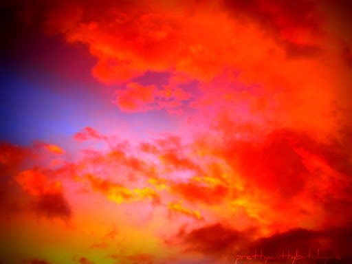 Prettywittybitchyme: Tathion 307 Review and a Few Snapshots