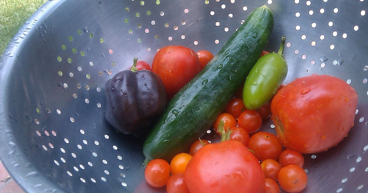 Salsa: garden style!