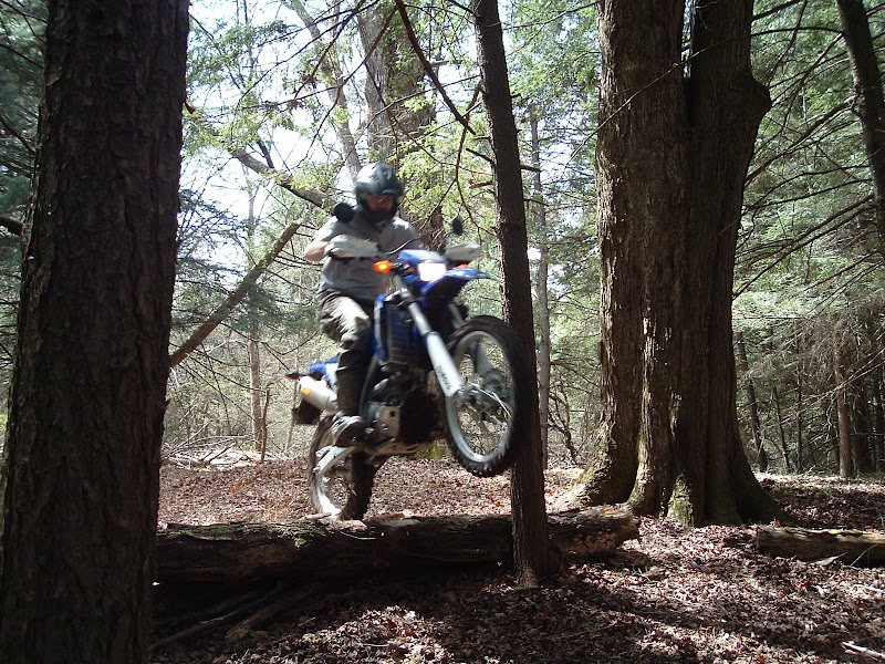 Post your best log crossing pics | Adventure Rider