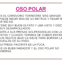 OSO POLAR - FICHA DE PRIMARIA DEL OSO POLAR