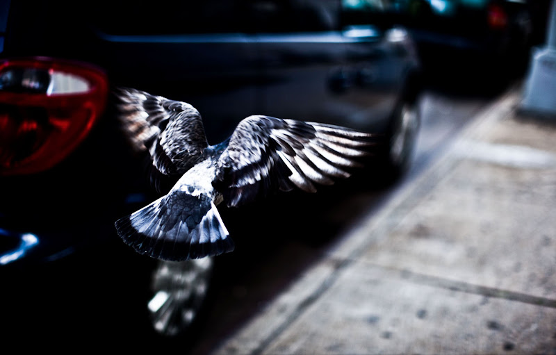 Life After Midnight: 13th Witness | Holiday Exhibition