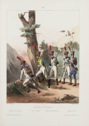 The Napoleonic Wargamer: La Légion Irlandaise